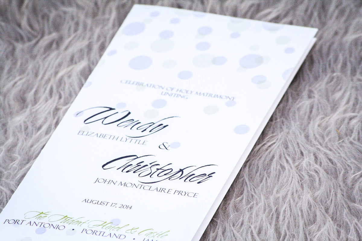 Delicate Dotted - 4" x 10" BOOKLET PROGRAM – Julie Hanan Design